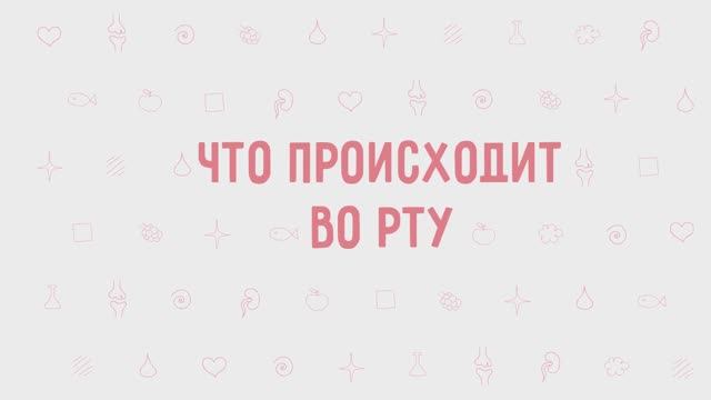 3.11 - Что происходит во рту