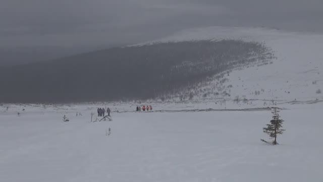 Тайна Перевала Дятлова. Кедр #13