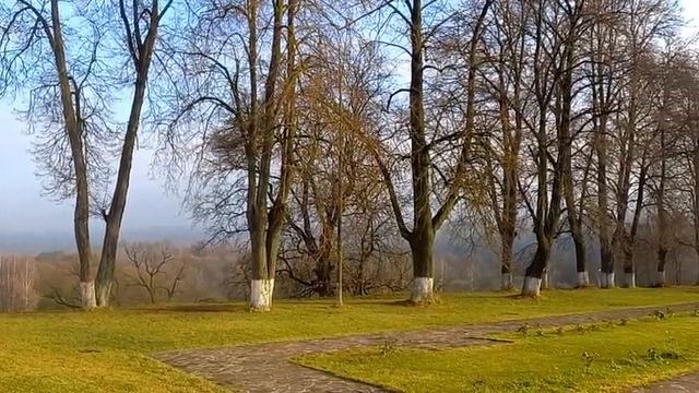 У ворот Нового Иерусалима. 2 ноября