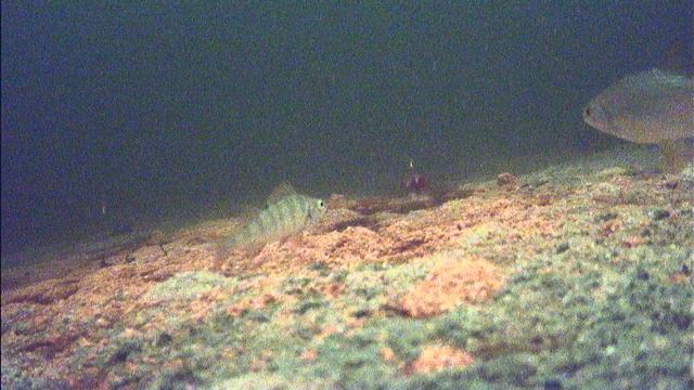 FILE190101-053025-000036F