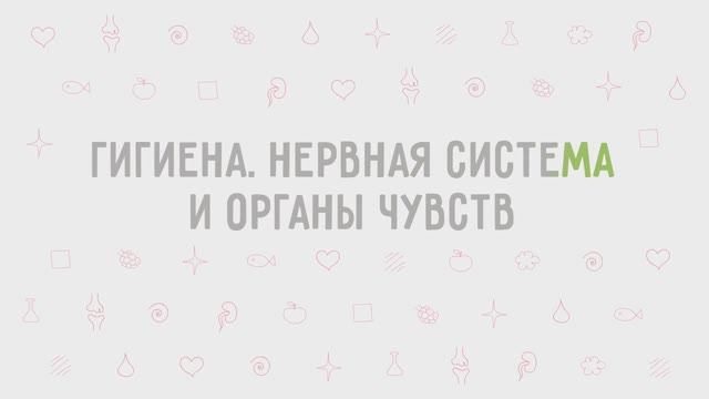 3.17 - Гигиена. Нервная система и органы чувств