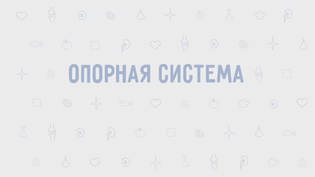 3.02 -  Опорная система