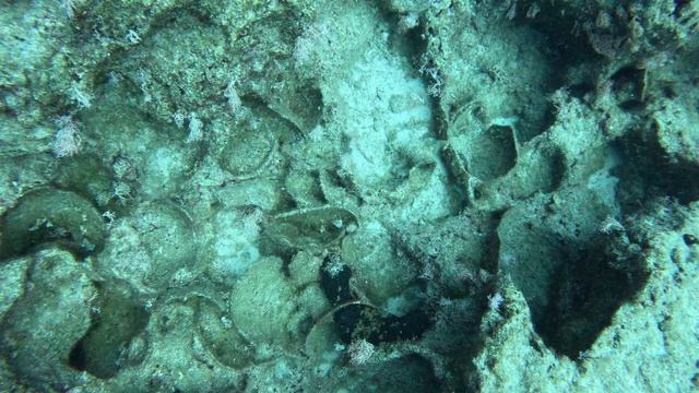 амфоры, дайвинг в Каш Турция