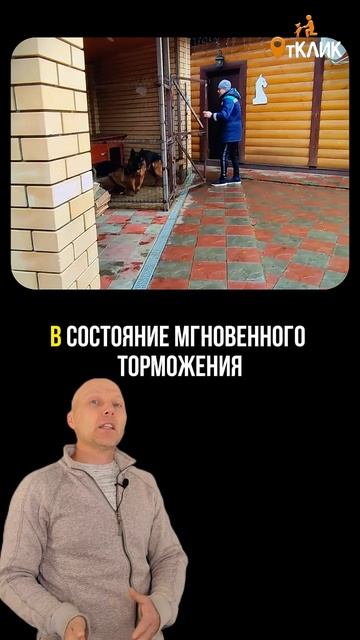 Агрессия хозяина?