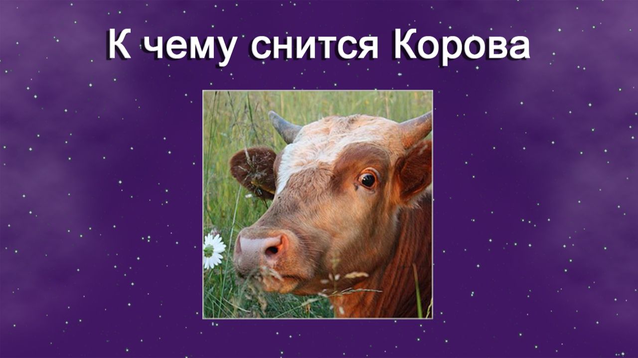 К чему снится Корова - толкование сна