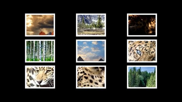 Ramio Lin - Светлячок