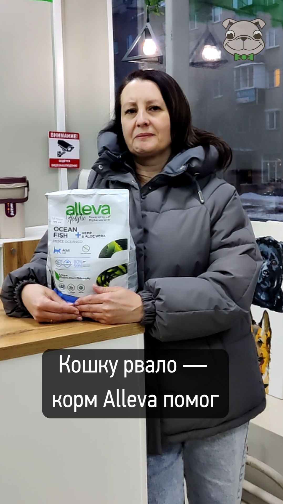 Кошку рвало постоянно: в Мистер Гав посоветовали Alleva — стало лучше