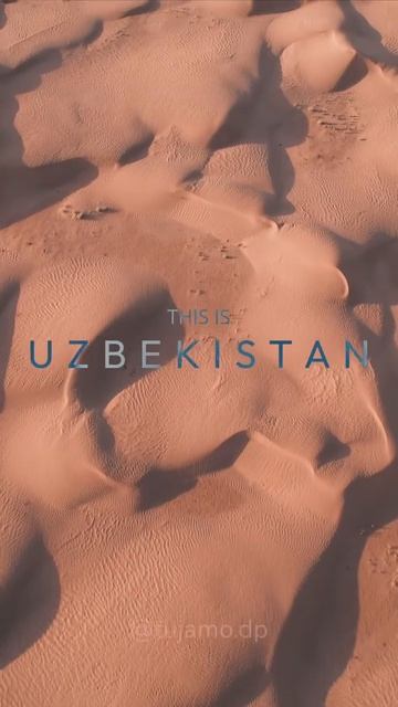 Узбекистан 🇺🇿