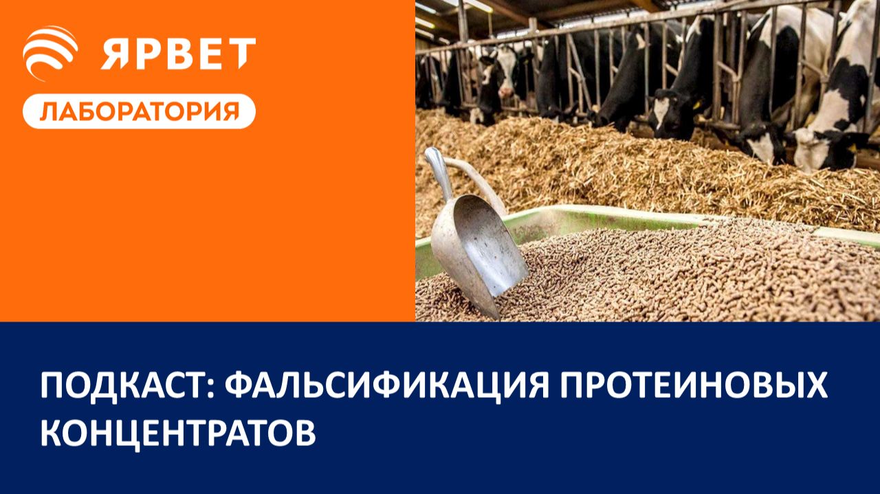 Подкаст: Фальсификация протеиновых концентратов