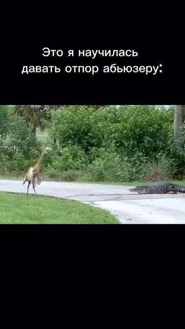 Психолог Александра Боровикова