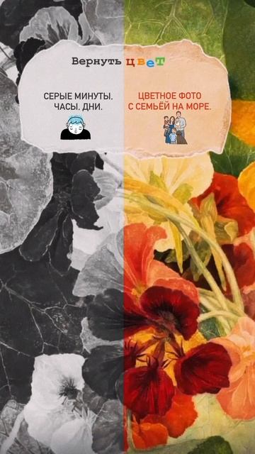 вернуть цвет