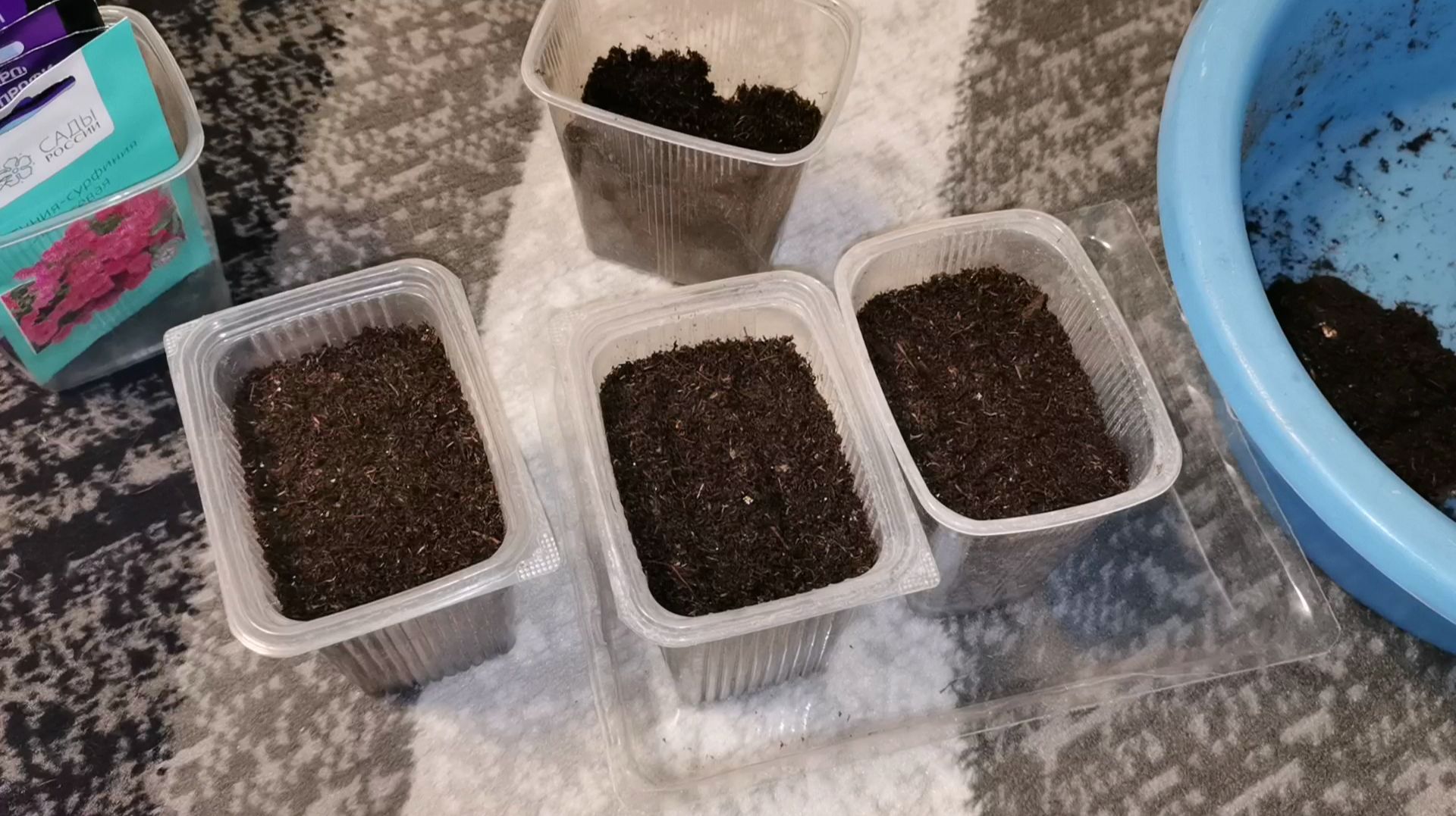 Посевы продолжаются петуния на рассаду 2026! Важные работы в теплице в феврале.