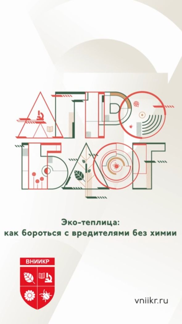 Экотеплица: как бороться с вредителями без химии