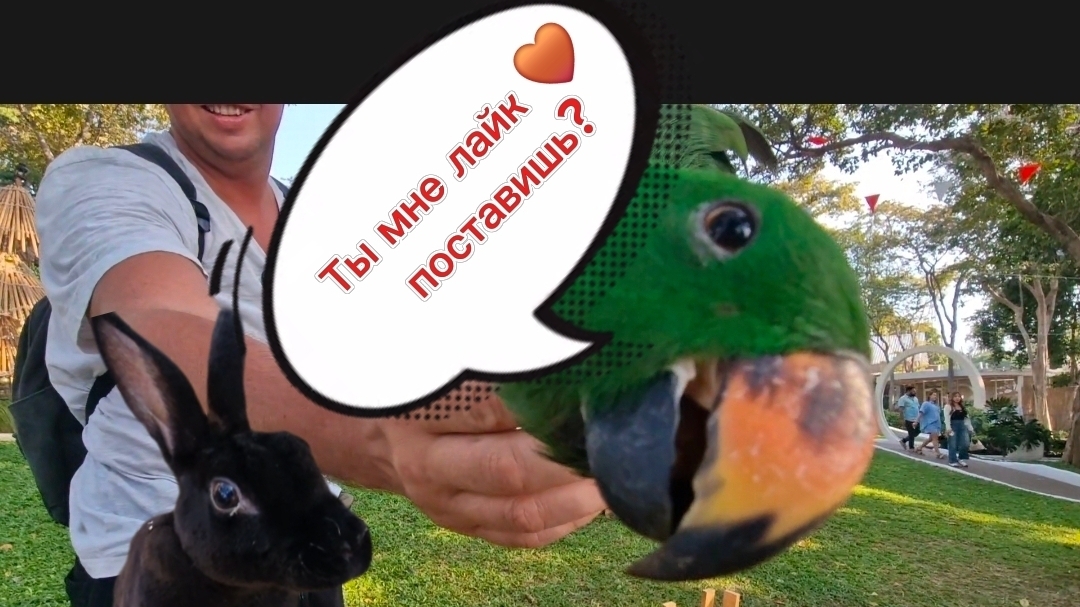 Новый 2026 год в Таиланде