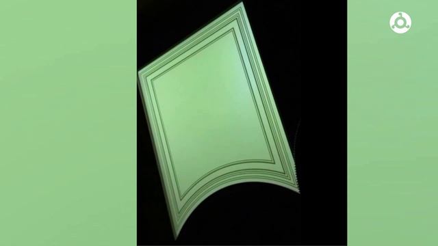 Хроника происшествий. Выпуск 226