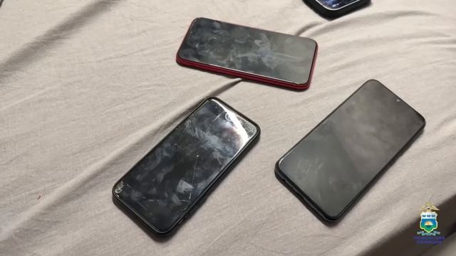 В Тюменской области полицейские задержали подозреваемых в серии мошенничеств