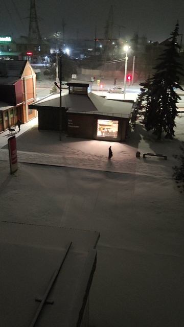 15.01.26 - проснулась, а за окном зима!