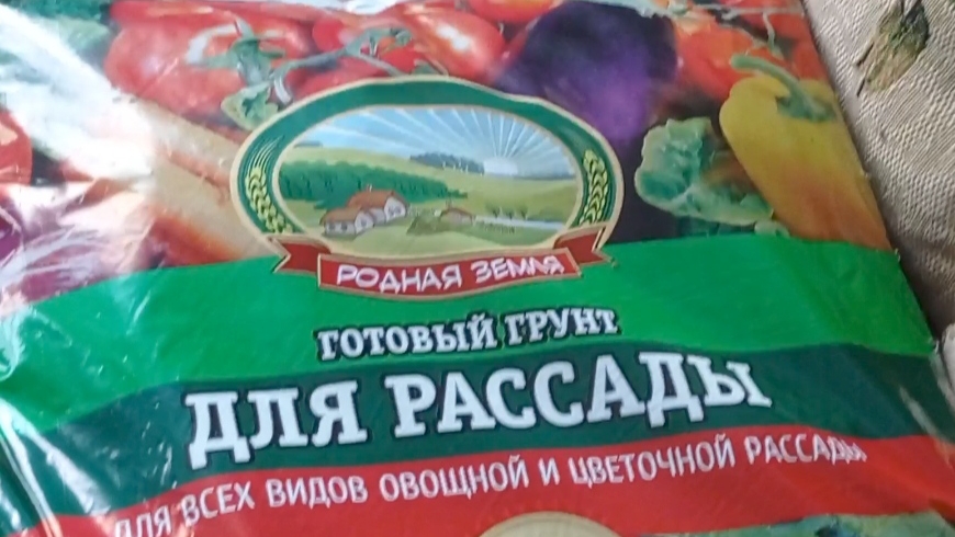 Какой грунт для рассады я купила
