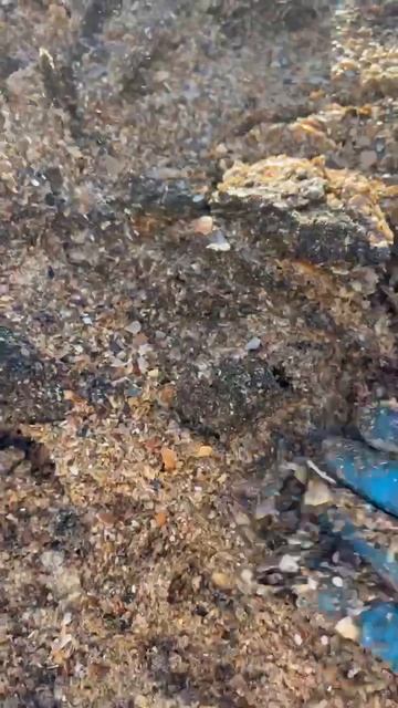 В Анапе снова нашли мазут