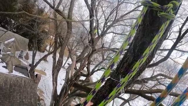 Брассовка, или брейсинг деревьев N3