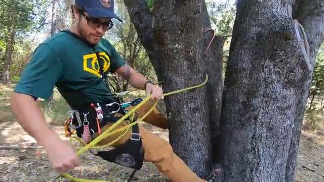 Охватка для позиционирования на дереве Petzl Zillon