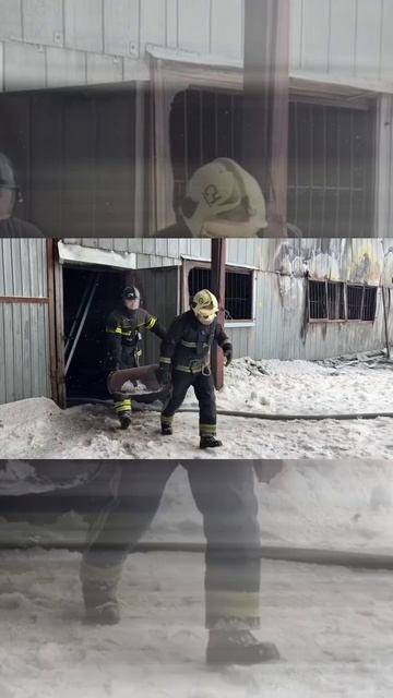 Пожар в Курском районе