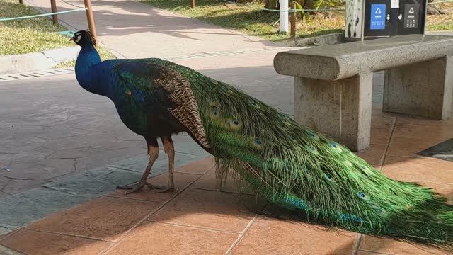 Китай. Город Гуанчжоу. В двух шагах!