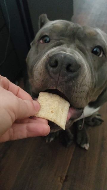 голод не тётка