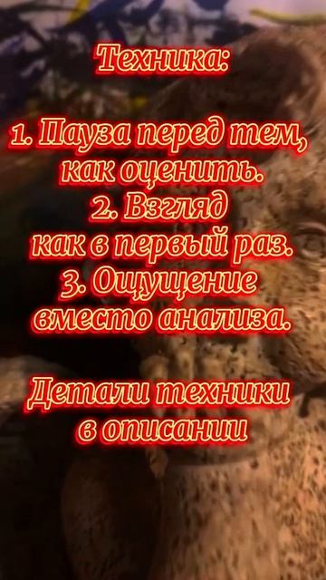 #Практика Тихий взгляд #@Clubbonfire #клубщбщийкостер #shorts #тишинавпотоке #философскиевопросы