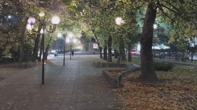 Стихотворение "В осеннем парке".