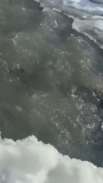 Зимняя красота