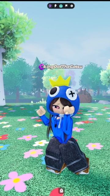 ai mi gatito, miaw, miaw