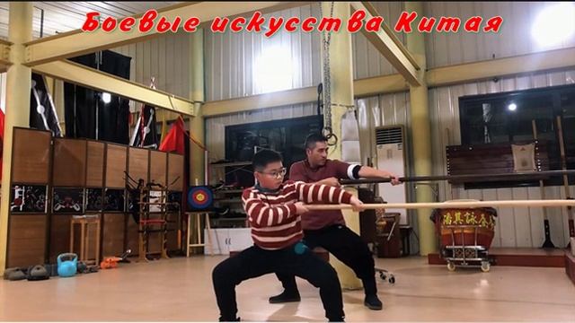 Шесть с половиной точек на шесте Вин Чун - Метка «Конь» Сипин