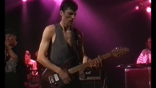 Сектор Газа Взял вину на себя