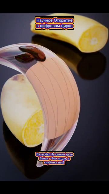 Научное Открытие в цифровом цирке