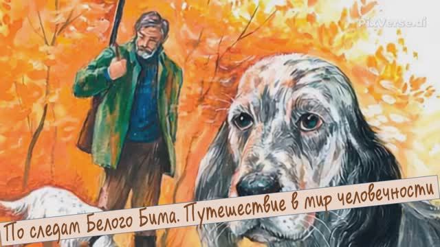 По следам Белого Бима. Путешествие в мир человечности. Обзор