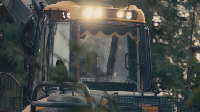 Мелодия леса - Запсиблес