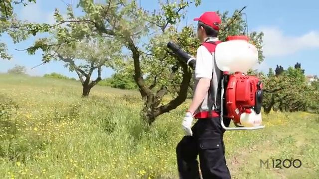 Обработка садов пестицидами