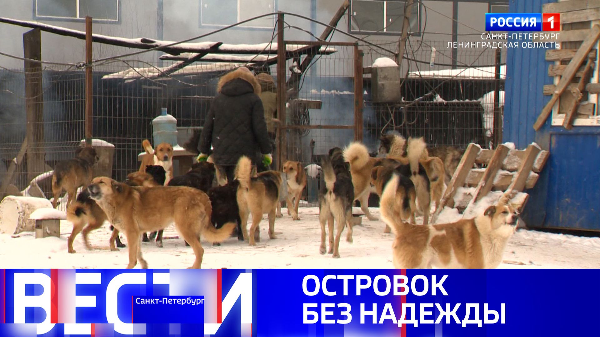 Вести Санкт-Петербург. Выпуск 09.30 от 09.02.2026