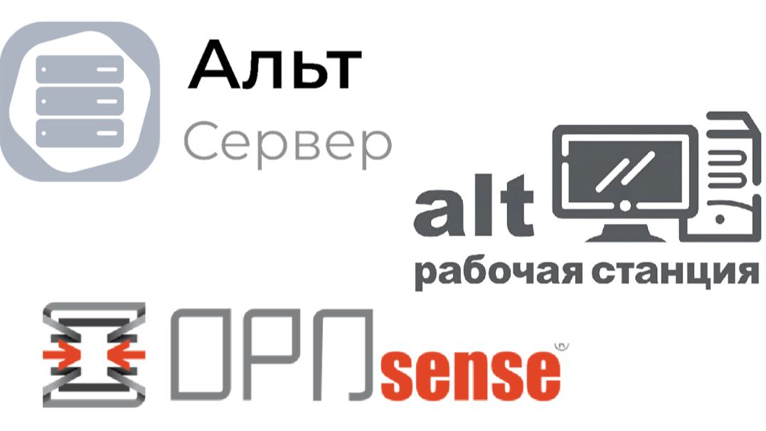 Настройка сетей в Alt и OPNSense