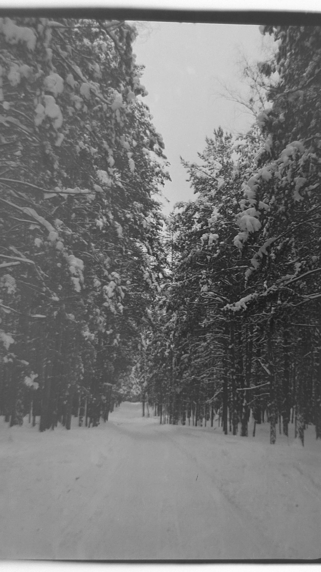 Москва 5, Fomapan Action 400, 6x9