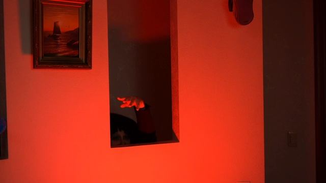 14 уйди уйди_