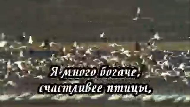 Крылья молитвы