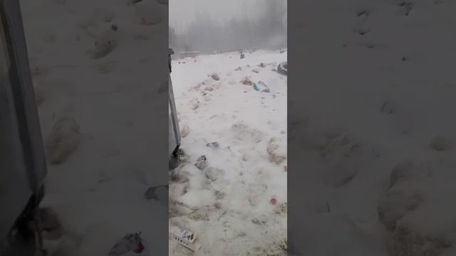 Большой творческий мусорный проект.