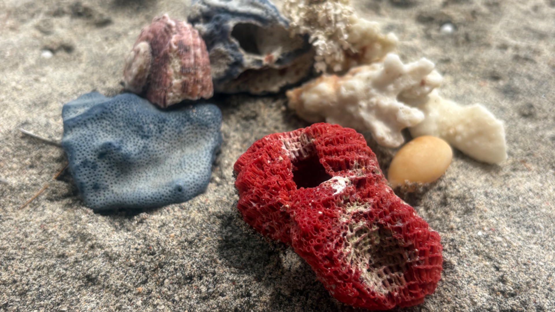 Траванган. Подводный тест.