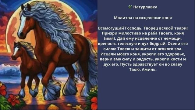 Молитва на исцеление коня.