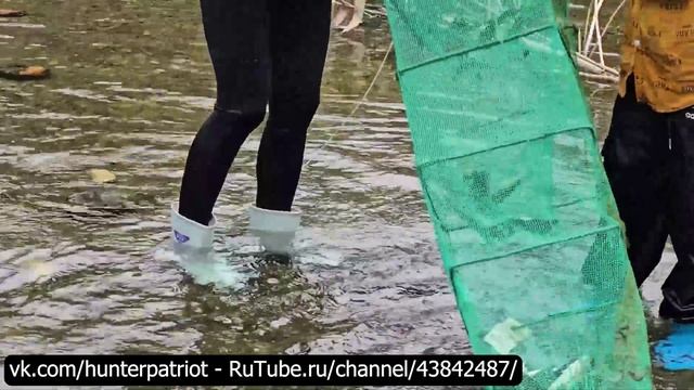 🎣 Ловушка для рыбы из шестиугольной клетки 🎣 Ежедневная жизнь хайлендского мальчика Кхая 🌊