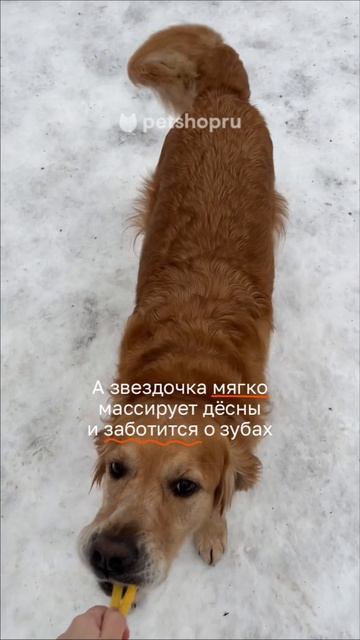 Обзор: PETSHOP Игрушка канат и звездочка (арт. 66325)