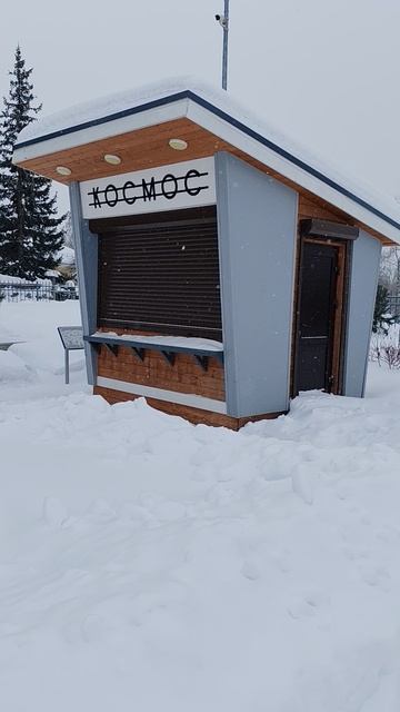 Калуга, у музея им.Циолковского 07.02.2026