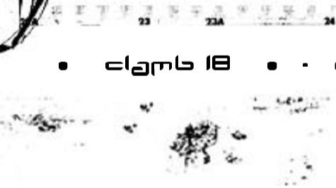 • ● Clamb 18 (18) ● •